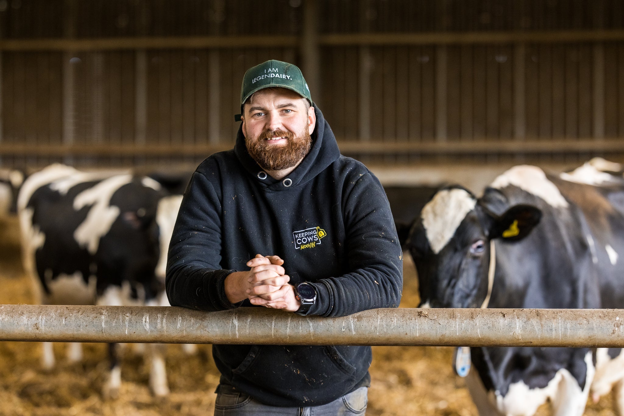 HOODIES – Keeping cows moovin